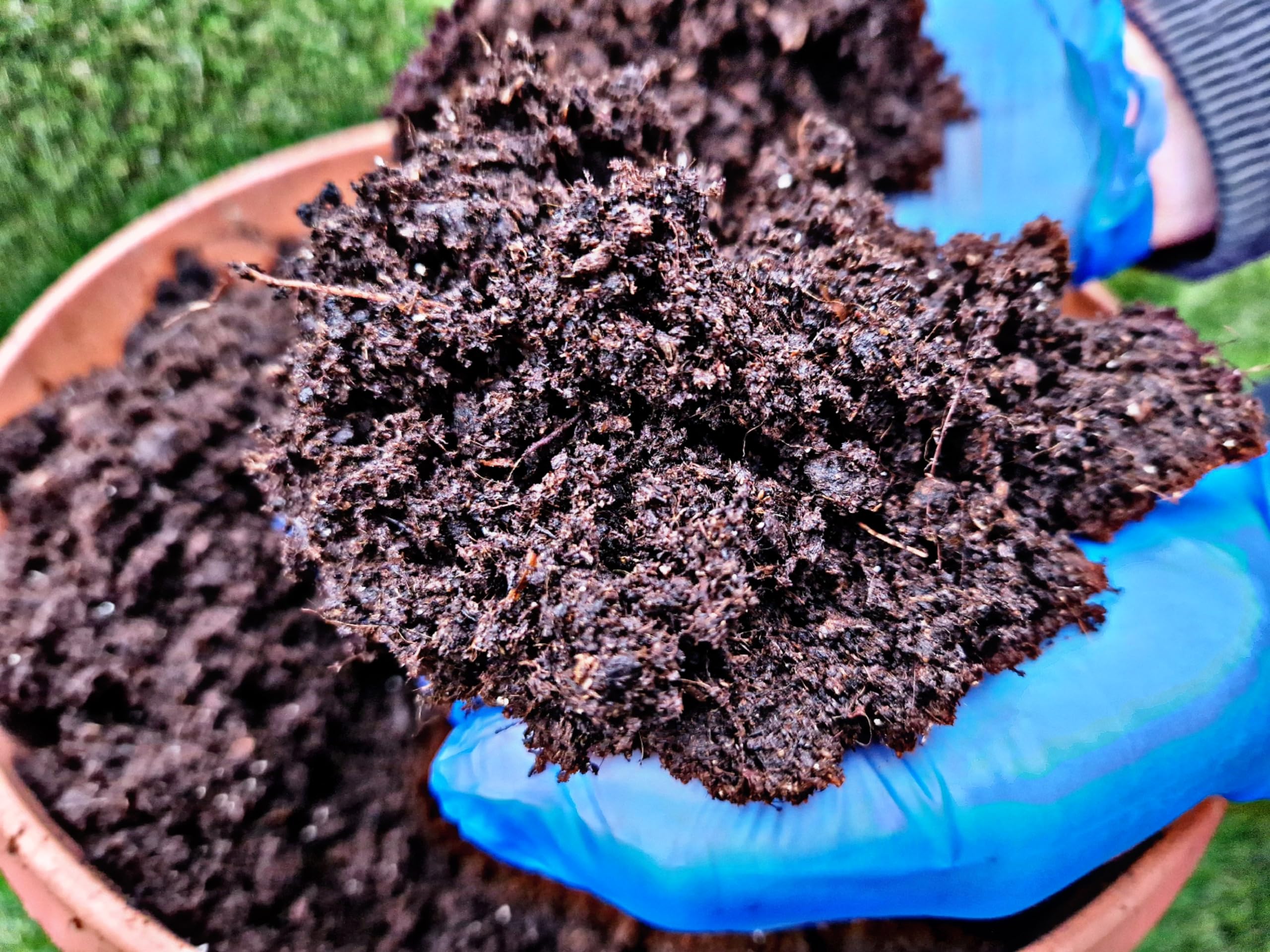 Love Aquatics 3 x 40 Litre Premium grade Multi Purpose Compost ...